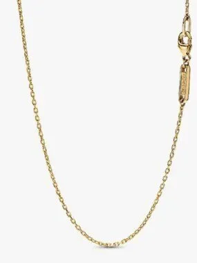 Pandora | Jewelry | Pandora Talisman Cable Chain Necklace 4k Gold ...